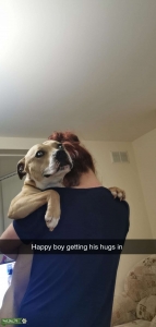 Breed Your Dog the United States