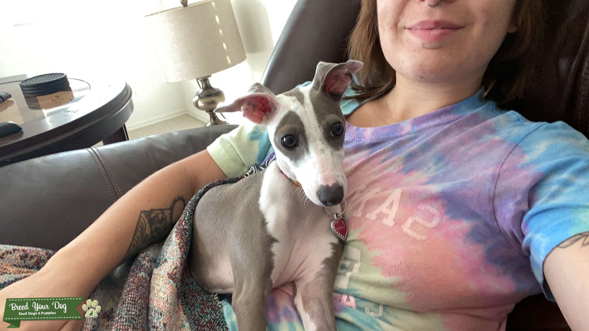 What Breed Is Jenna Marbles Dog