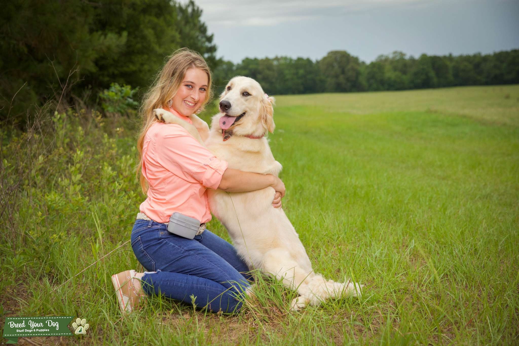 Breeding - Stud Dog in Alabama , United States | Breed Your Dog