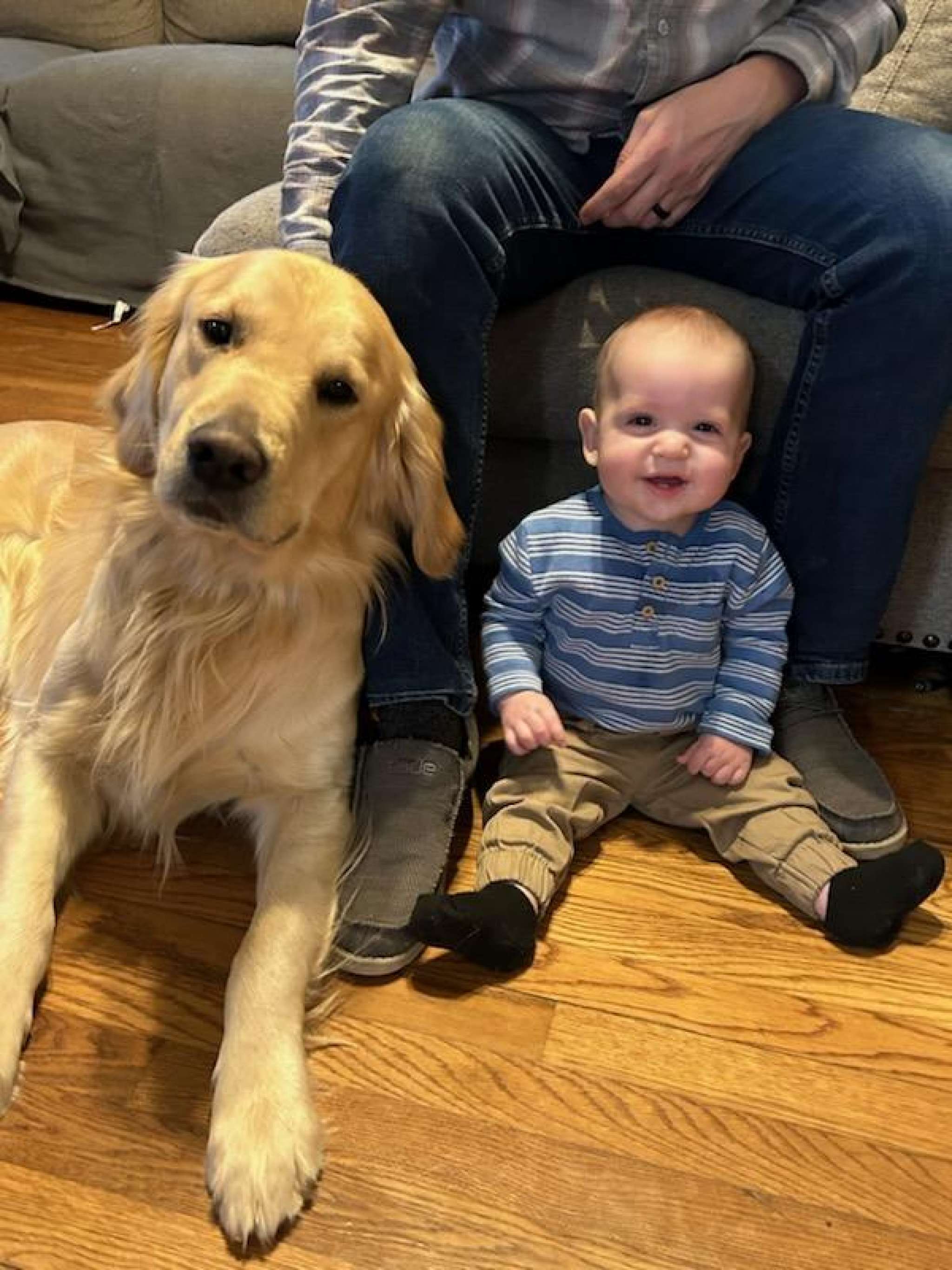 Golden Retriever. Big Boy. Good Boy. - Stud Dog in Tennessee, United ...